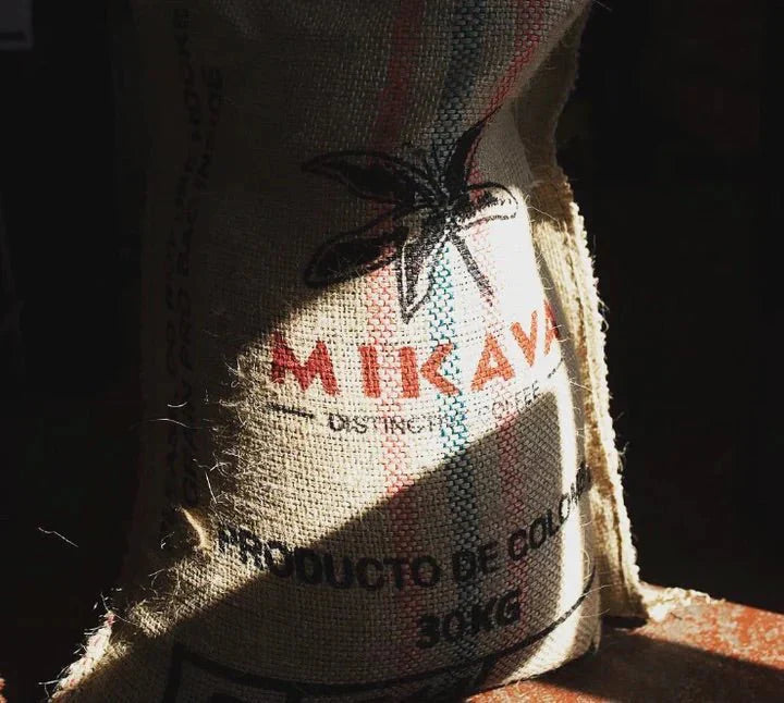 Mikava – Dayglow Online