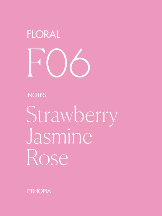 Dayglow – Dayglow Online